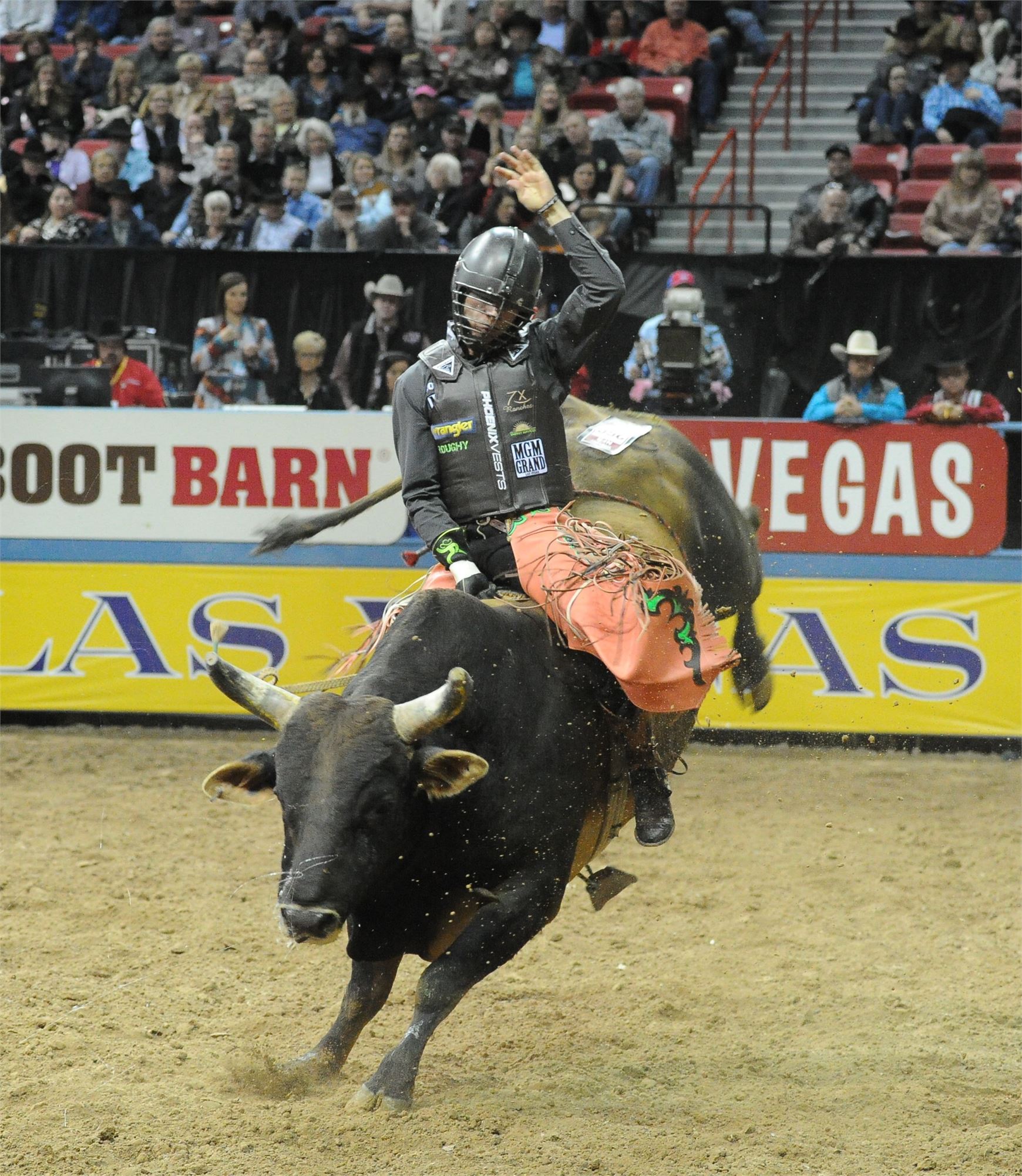 About the Sport of Rodeo - Miss Rodeo America