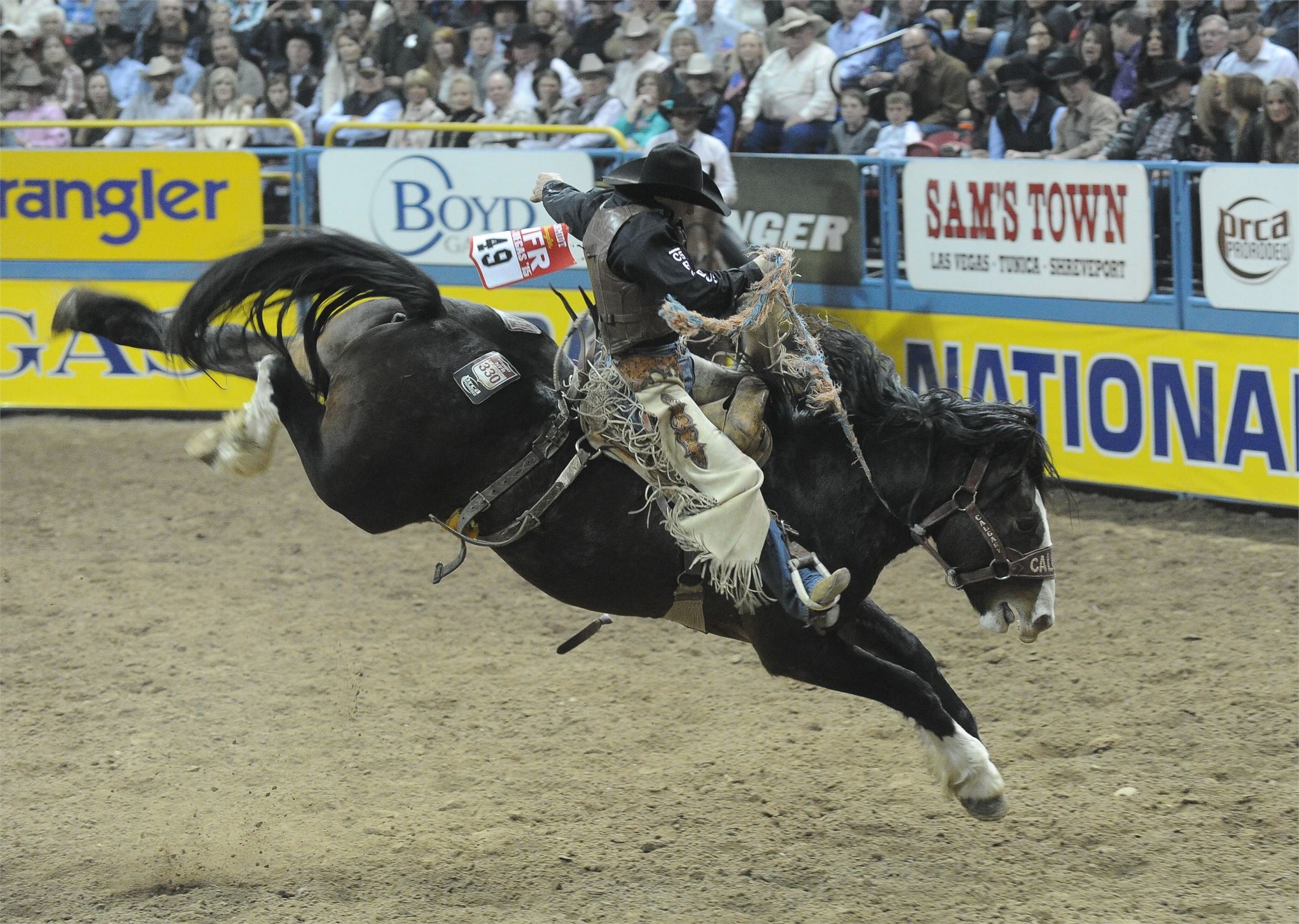 About the Sport of Rodeo - Miss Rodeo America